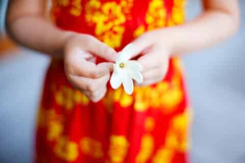 Fleur de tiaré : l'essence de la beauté polynésienne